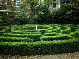 14 Mind-Bending Shrubs That Shaped the World's Most Iconic Labyrinths ...