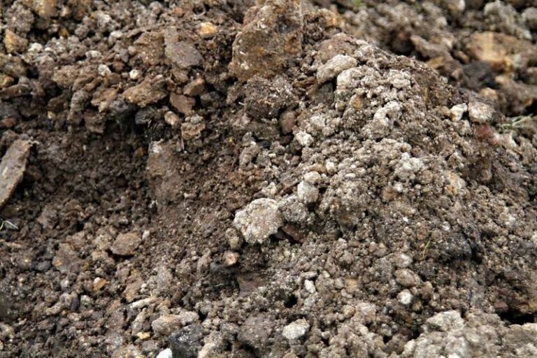 13 Eye-Opening Facts About Garden Soil Color – Plus Hidden Gardening ...