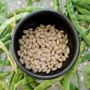 25 Amazing Bean Varieties Packed with Flavor and Health Benefits ...