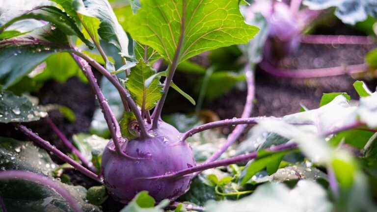 Ugly on the Outside But Delicious Inside - 25 Vegetables That Deserve ...