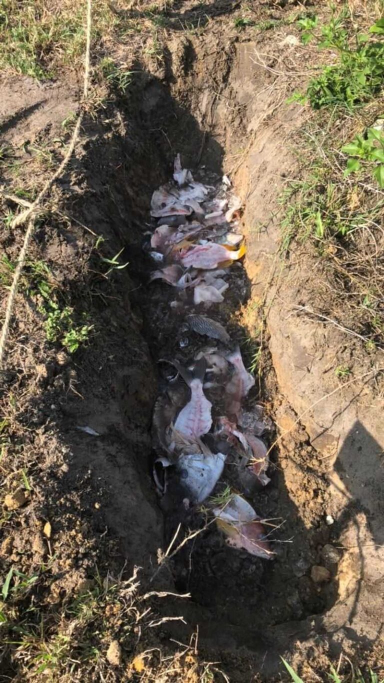 10 Genius Things to Bury in the Garden for Better Soil - Complete Gardening