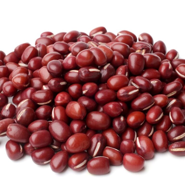 25 Amazing Bean Varieties Packed with Flavor and Health Benefits ...
