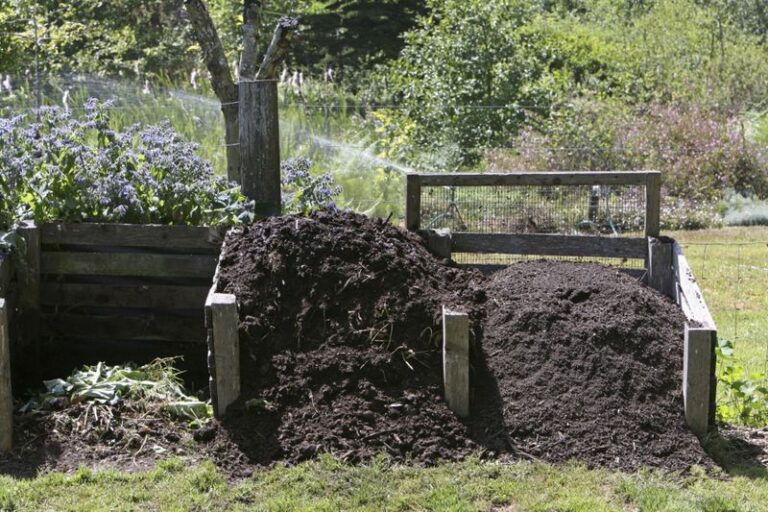 Dirt Rich: 15 Organic Ways to Supercharge Your Soil - Complete Gardening