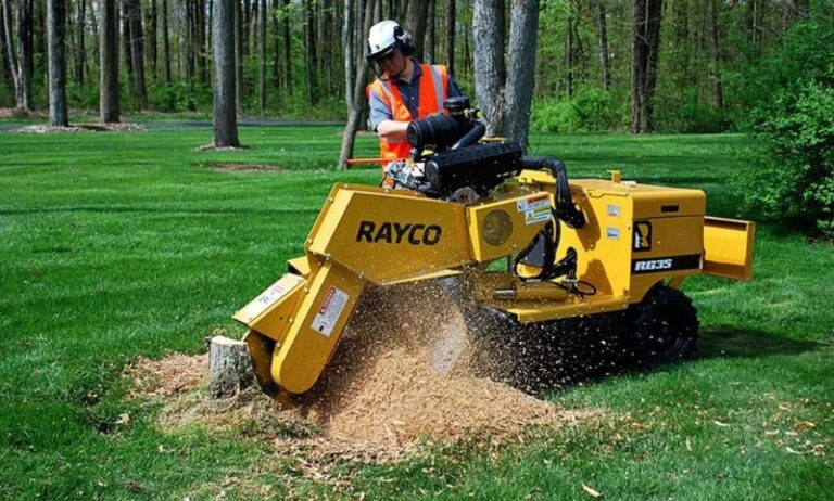 7 Safe and Easy Ways to Remove a Tree Stump from Your Yard - Complete ...