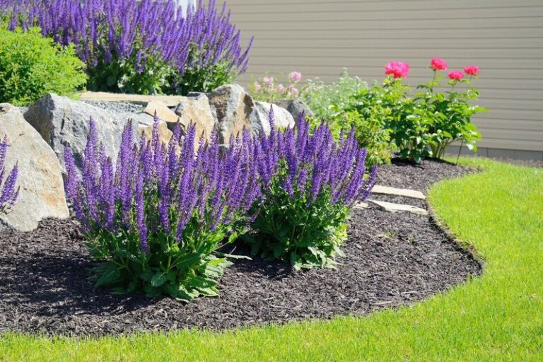 17 Lavender Rescue Tricks Every Gardener Should Know (Before It’s Too ...
