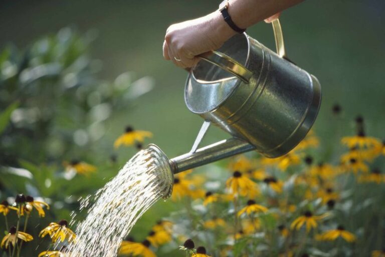 10 Disadvantages of Growing Non-Native Plants Every Gardener Should ...