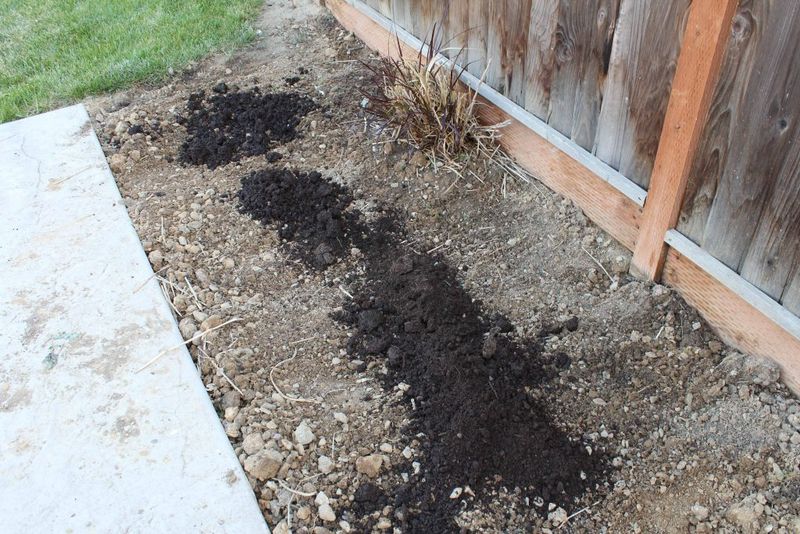 Top 10 Soils That Make Raised Garden Beds Thrive and 5 That Could Ruin ...