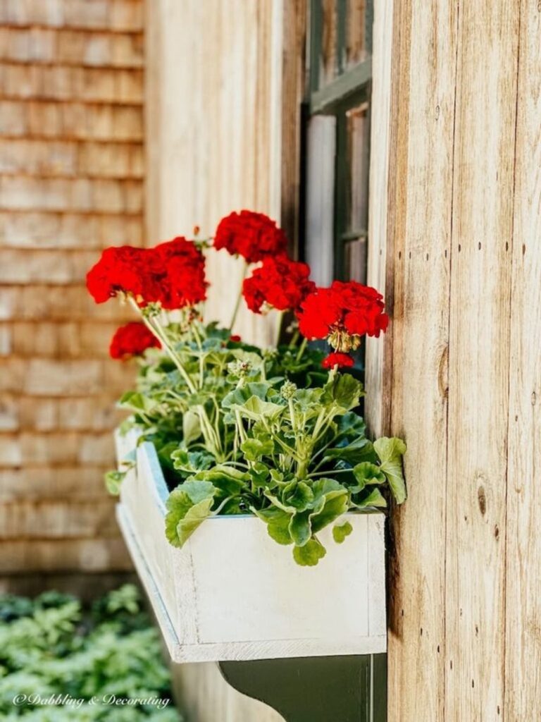 17 Plants Our Parents Grew: A Look Back at 70s and 80s Garden Favorites ...