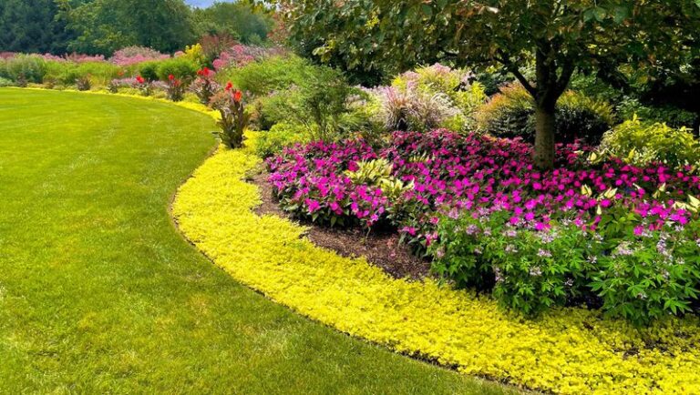 24 Ground Covers That Instantly Upgrade Any Flower Bed - Complete Gardening