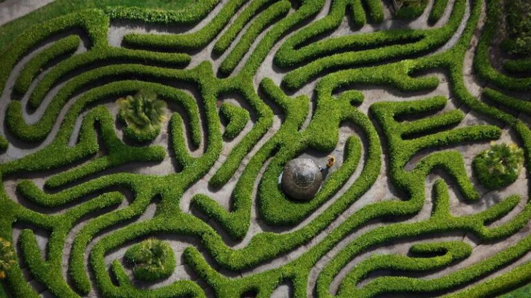 14 Mind-Bending Shrubs That Shaped the World's Most Iconic Labyrinths ...