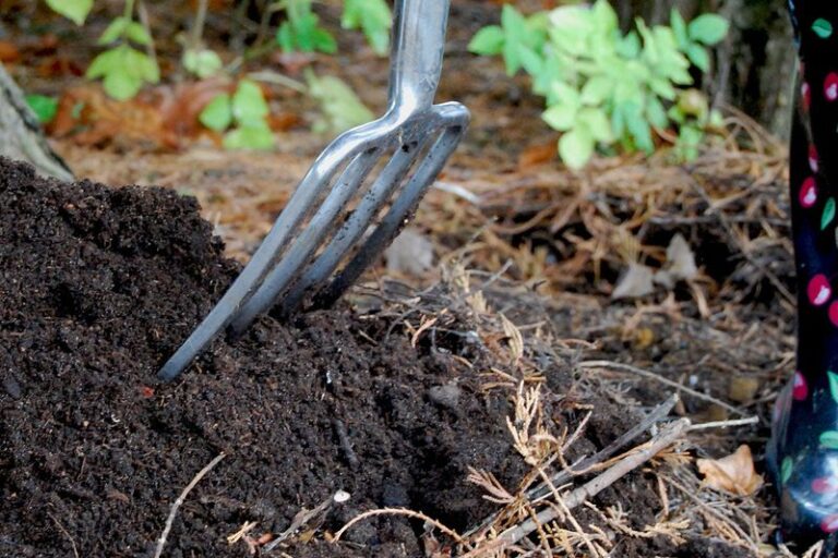 15 Composting Secrets Every Gardener Should Know - Complete Gardening