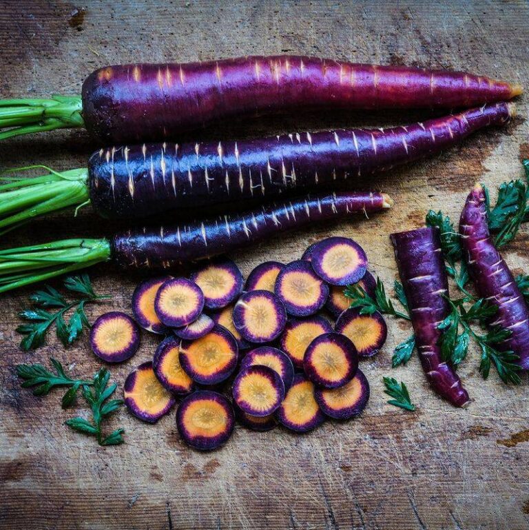 Ugly on the Outside But Delicious Inside - 25 Vegetables That Deserve ...