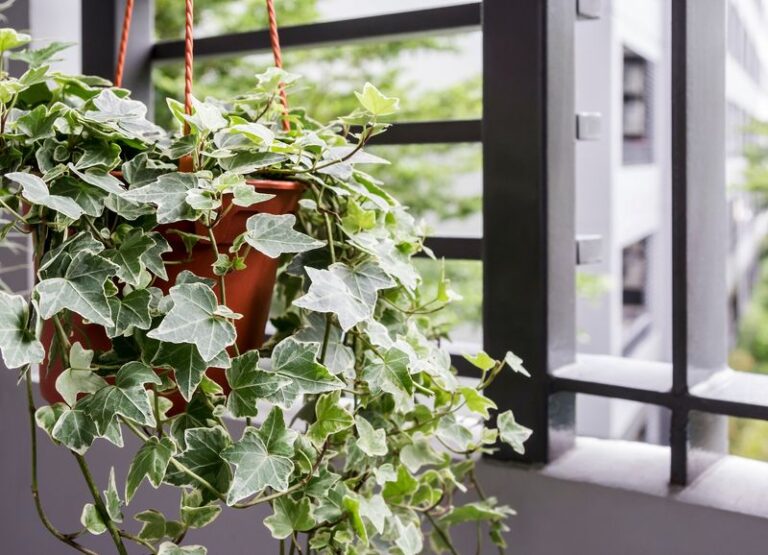 20 Gorgeous Plants That Instantly Transform Small Balconies into Lush ...