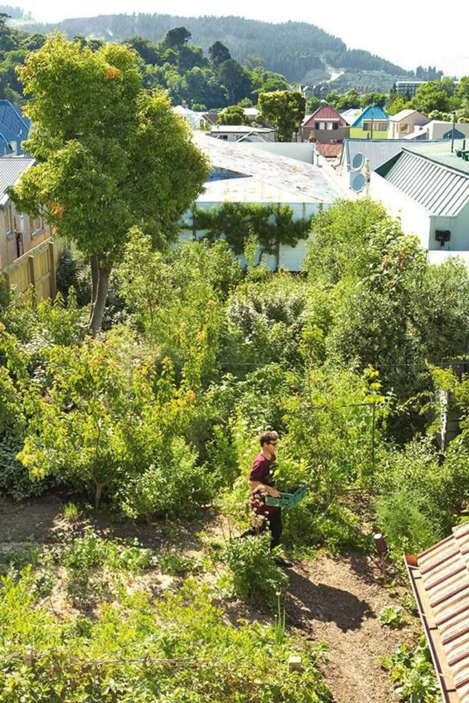 10 Simple Steps to Start a Backyard Food Forest—Even If You’ve Never ...