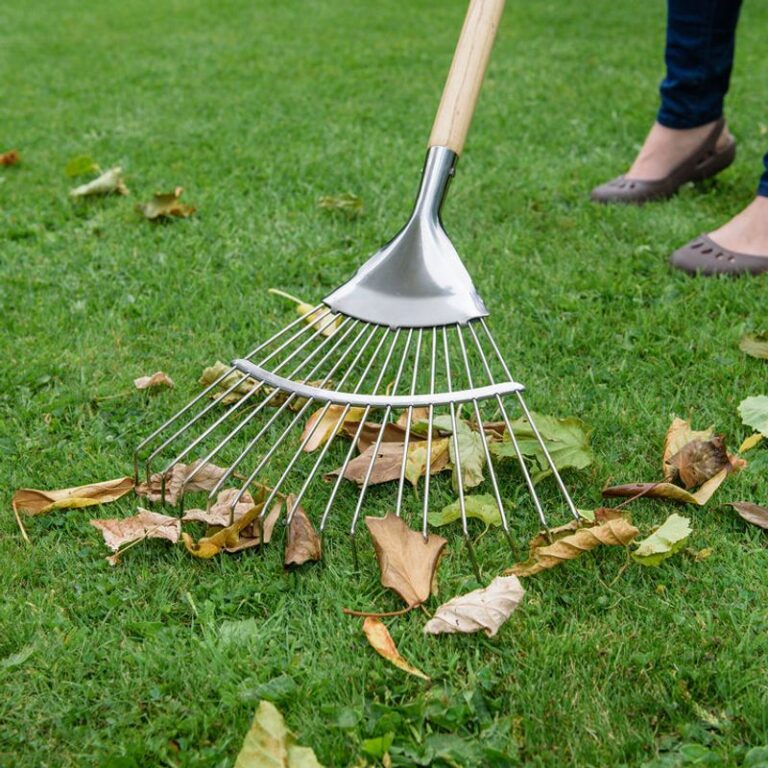 15 Tools That Make Gardening So Much Easier for Beginners - Complete ...
