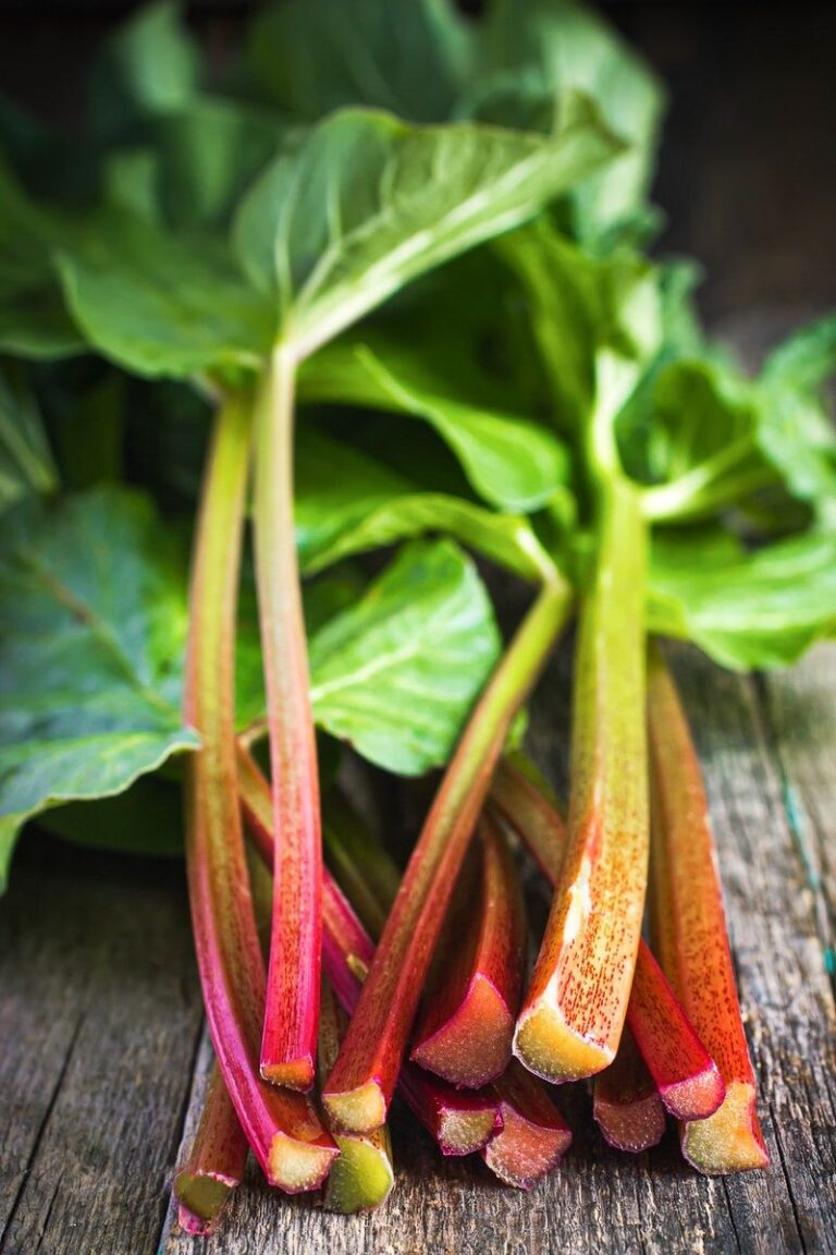 7 Must-Know Rhubarb Growing Tips for a Bountiful Harvest - Complete ...