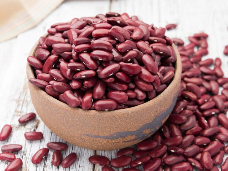 25 Amazing Bean Varieties Packed with Flavor and Health Benefits ...