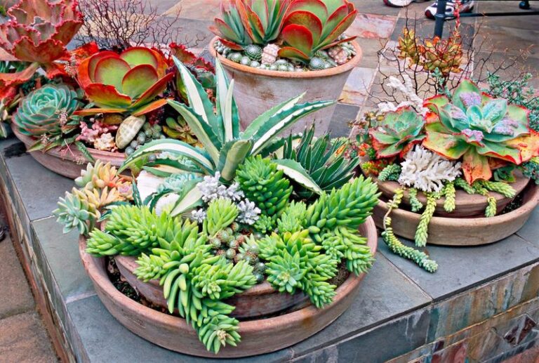 23 Plants That Will Flourish On Your Patio, Regardless Of Sun ...
