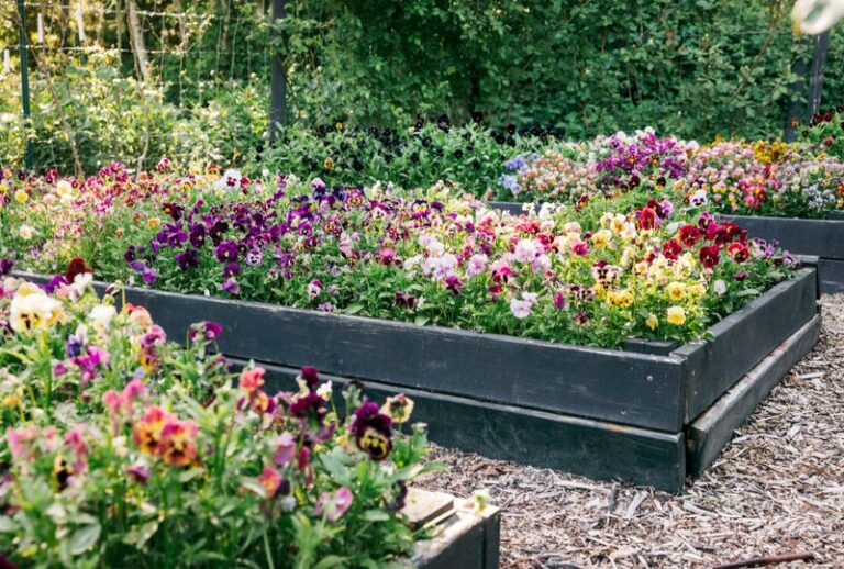 30 Long-Blooming Flowers That Thrive in Raised Beds - Complete Gardening