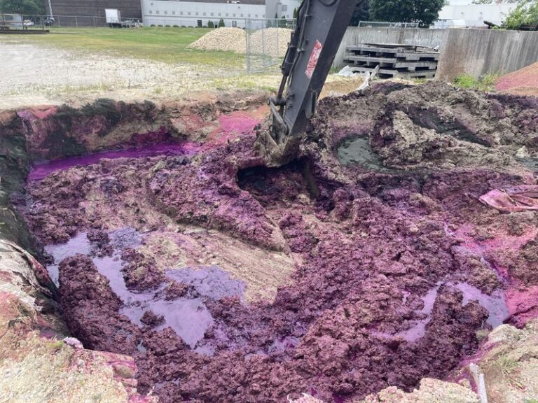 13 Eye-Opening Facts About Garden Soil Color – Plus Hidden Gardening ...