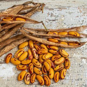 25 Amazing Bean Varieties Packed with Flavor and Health Benefits ...