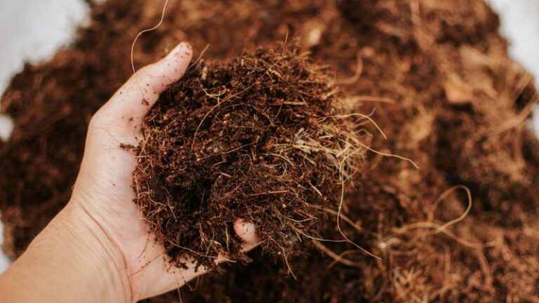 10 Soil Additions That Supercharge Raised Beds and 5 That Will Do the ...