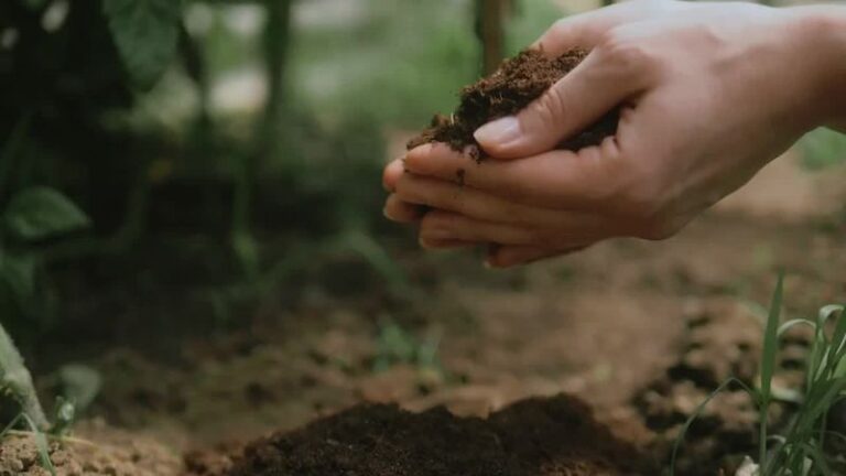 13 Eye-Opening Facts About Garden Soil Color – Plus Hidden Gardening ...