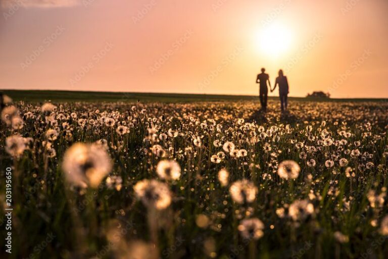 10 Powerful Meanings Behind the Dandelion Flower - Complete Gardening