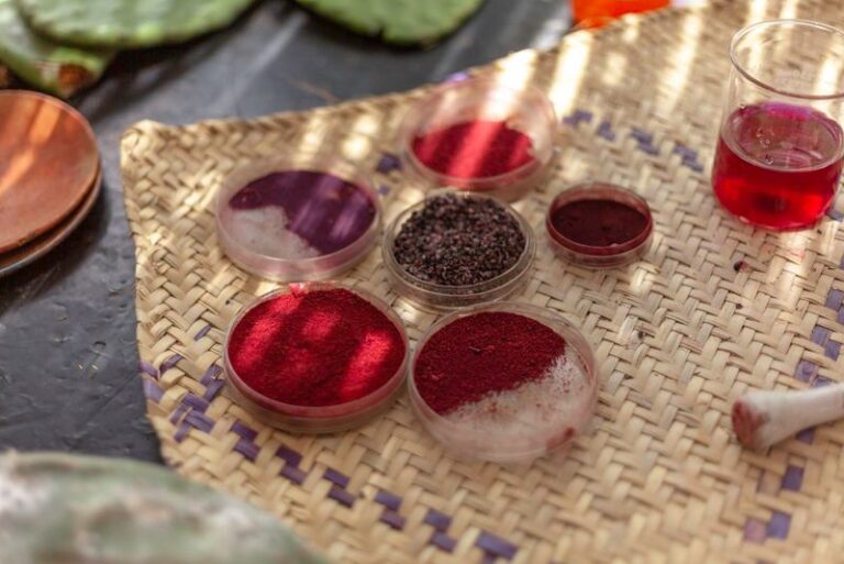 Color Your World: 12 Plants That Naturally Dye Fabric Beautifully ...