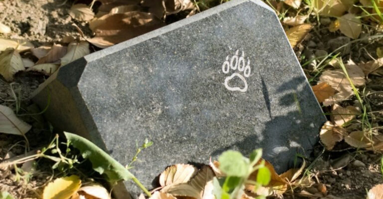 16 Reasons Why Backyard Pet Burials Are a Terrible Idea - Complete Gardening