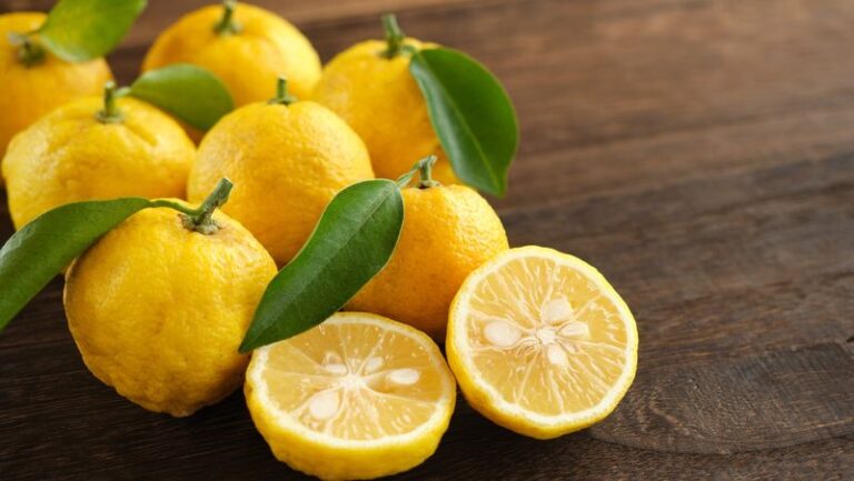 12 Unique Citrus Fruits You’ve Probably Never Tasted - Complete Gardening