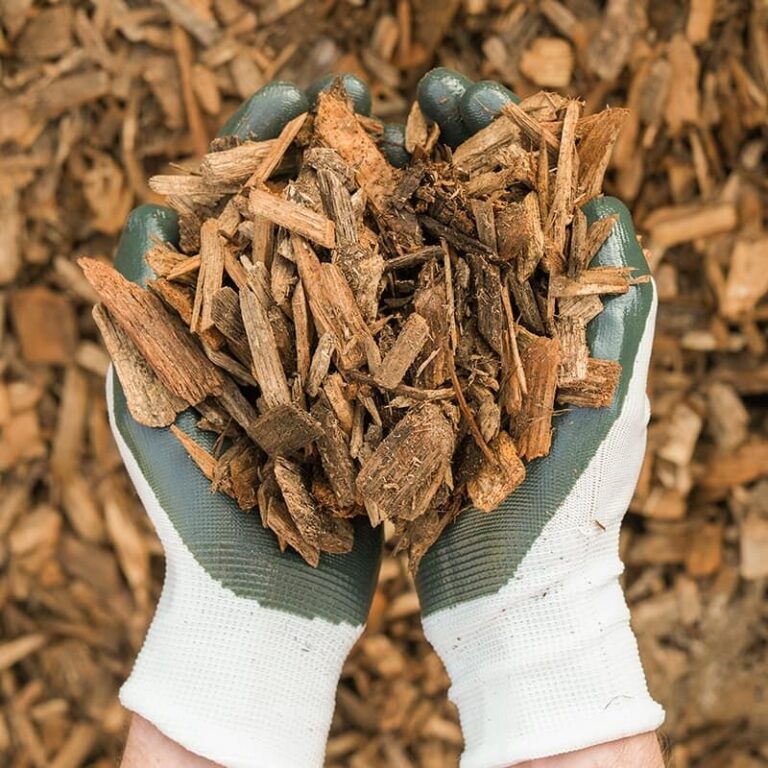 15 Organic Mulching Materials That Will Transform Your Garden Beds ...
