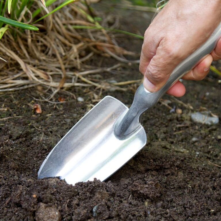 20 Garden Tools You Actually Need - Complete Gardening