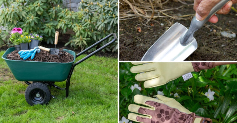 20 Garden Tools You Actually Need - Complete Gardening