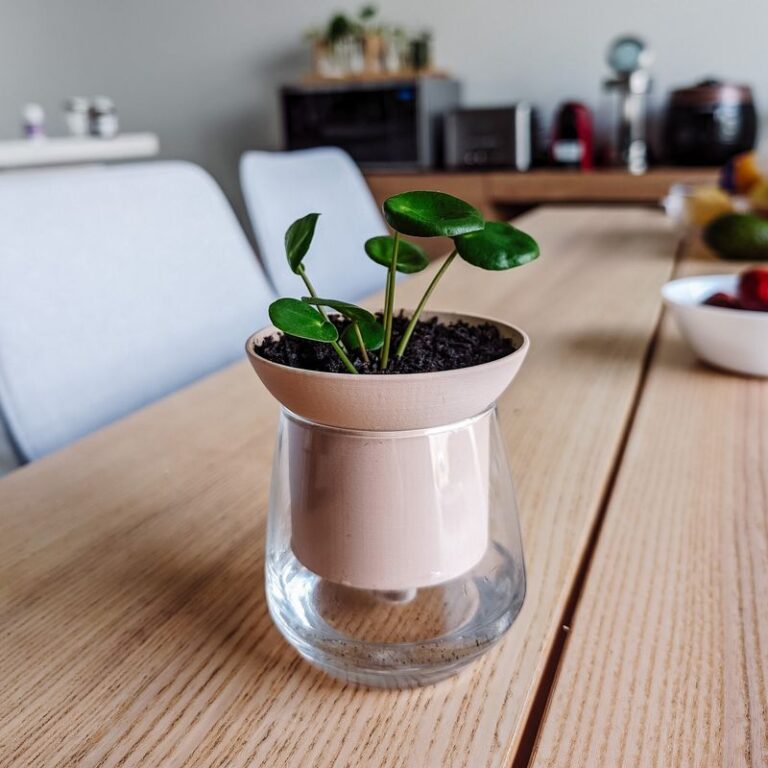 20 Genius Tips That Make Watering Your Plants 10x Easier - Complete ...