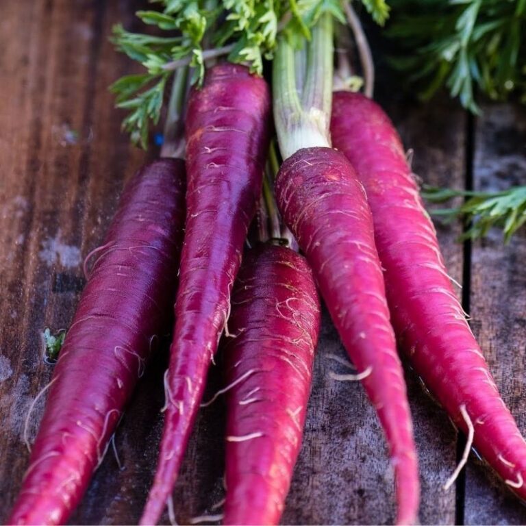 25 Purple Vegetables: Top Varieties to Grow - Complete Gardening