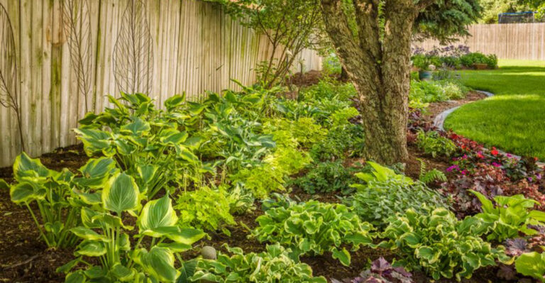 4 Common Landscaping Plants That Are Popular For A Reason - Complete ...