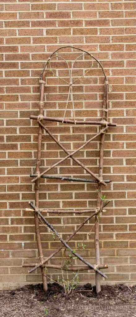 18 DIY Garden Hacks That Will Blow Your Mind - Complete Gardening