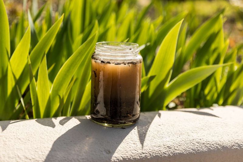 An Easy Way to Make Compost Tea – Your Plants Will Thank You ...