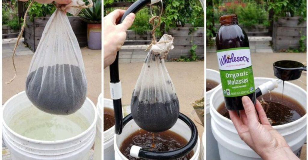 An Easy Way to Make Compost Tea – Your Plants Will Thank You ...