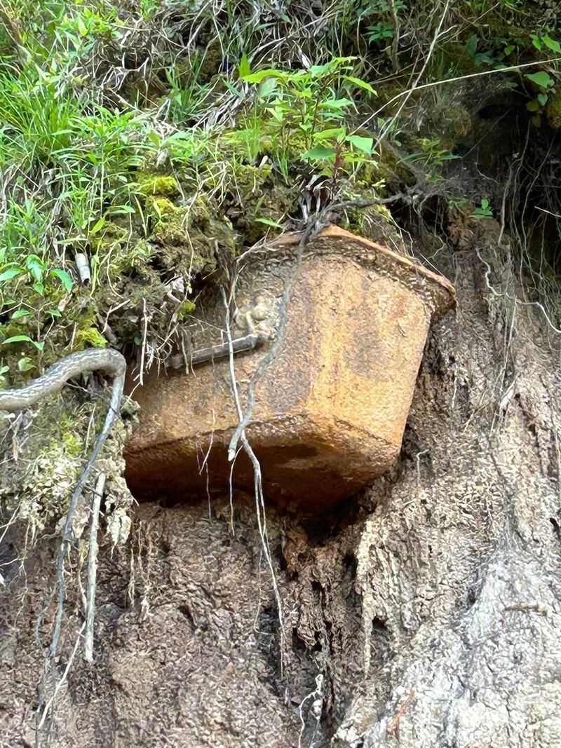 16 Reasons Why Backyard Pet Burials Are a Terrible Idea - Complete Gardening