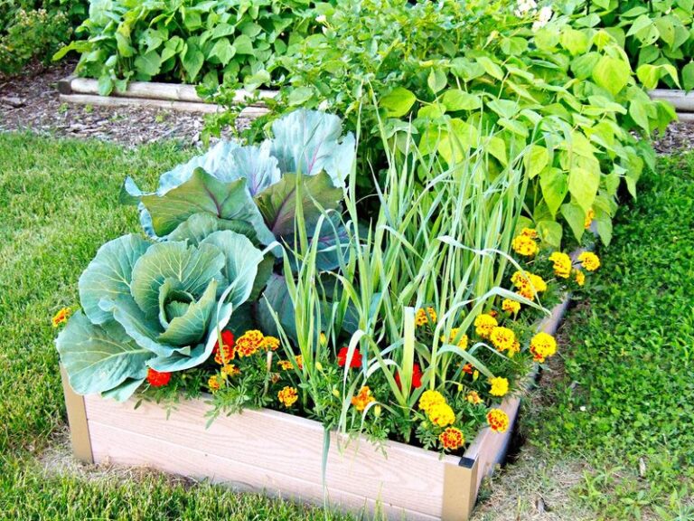 What to Do in Your Garden Each Month: Year-Round Planner - Complete ...