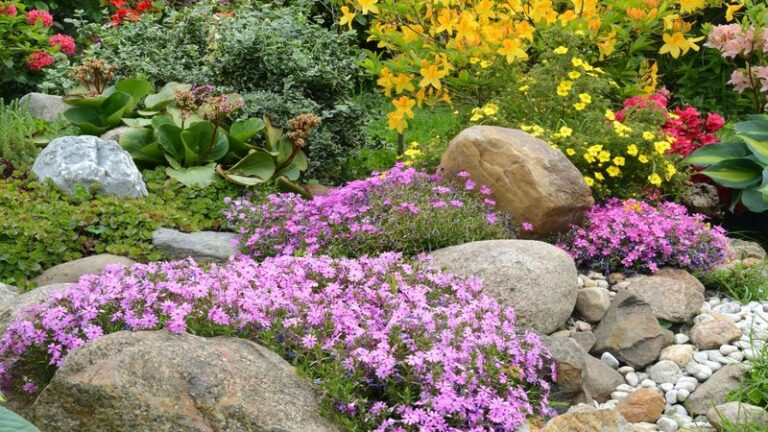 What’s a Rockery? 9 Easy Steps to Create This Stunning Garden Feature ...