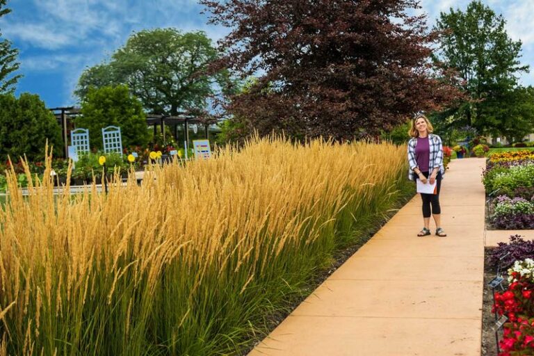 30 Landscaping Plants For A Lush Garden - Complete Gardening