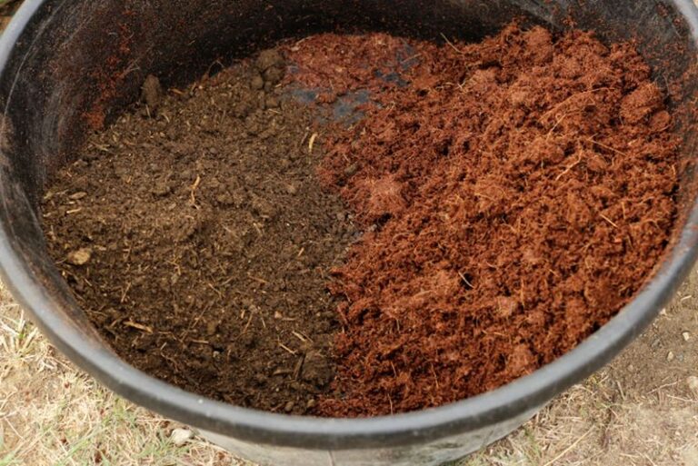 The Best Soil Mix for Container Gardening - Complete Gardening