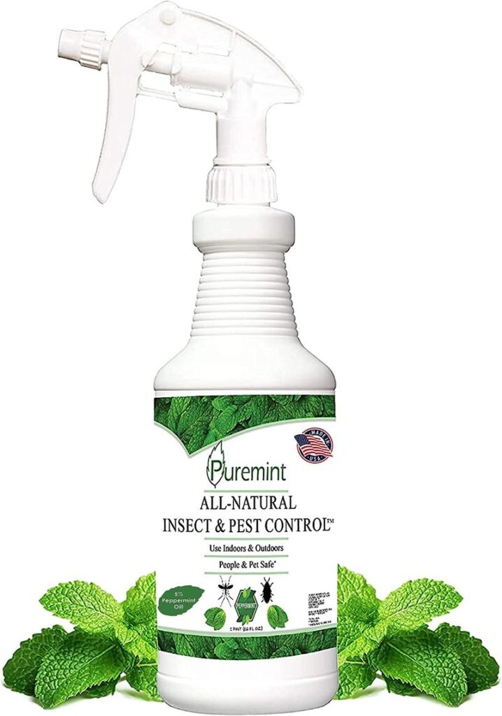 25 Organic Pest Control Methods That Really Work - Complete Gardening
