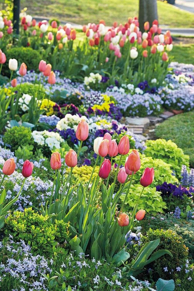 Build a Year-Round Cutting Garden - Complete Gardening