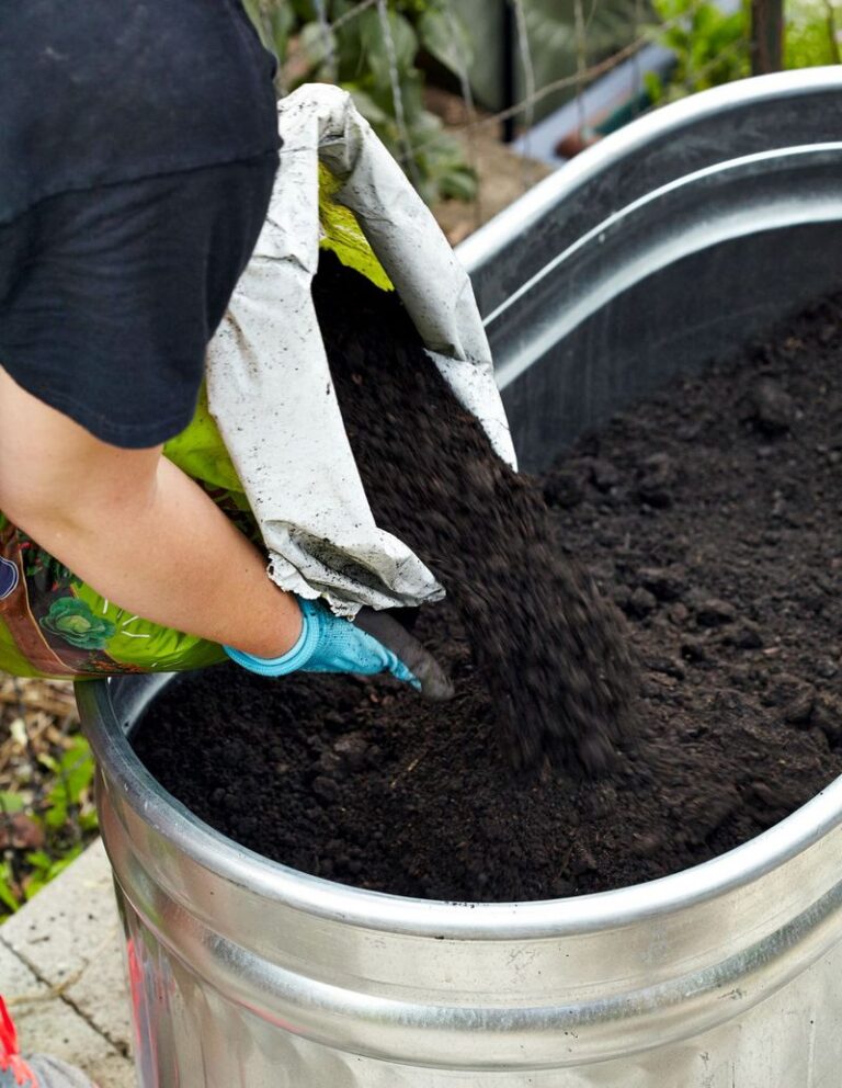The Best Soil Mix for Container Gardening - Complete Gardening