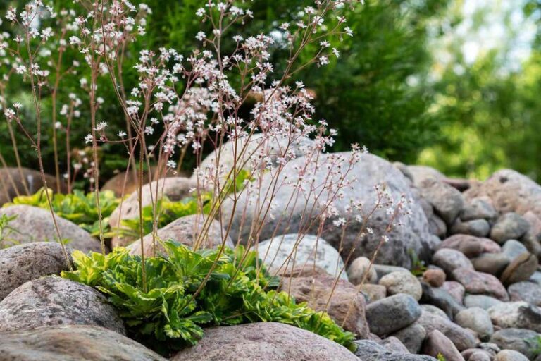 What’s a Rockery? 9 Easy Steps to Create This Stunning Garden Feature ...