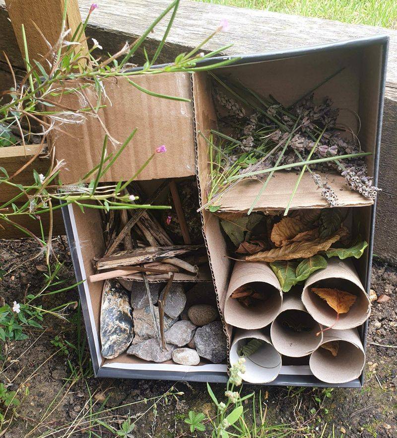 Build Your Own Bug Hotel: Here’s How - Complete Gardening
